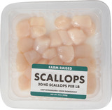 Calories in Scallops, Farm Raised from East Coast Seafood